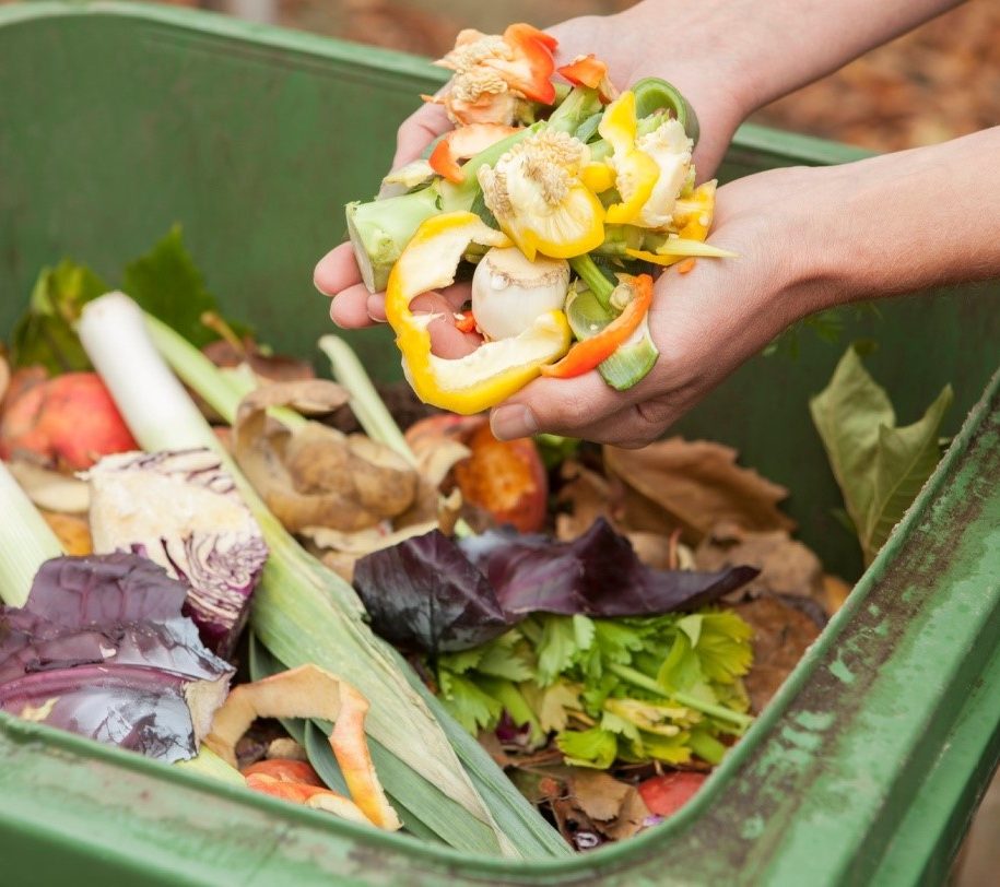 Organski otpad – Serbia Organica